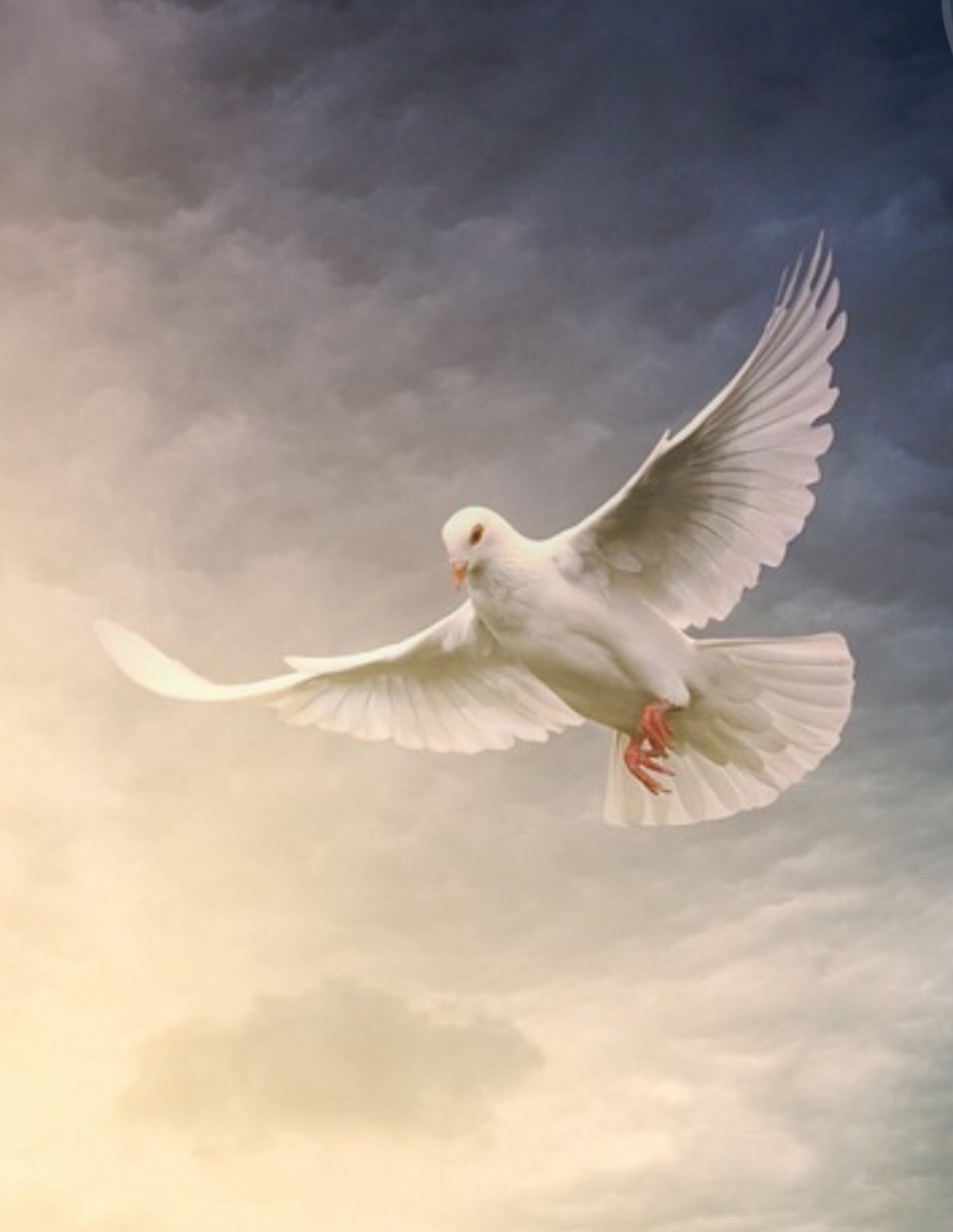 Glorious Mysteries – Rosary Meditations